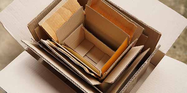 Zero Waste Tips for Moving | Guardian Storage