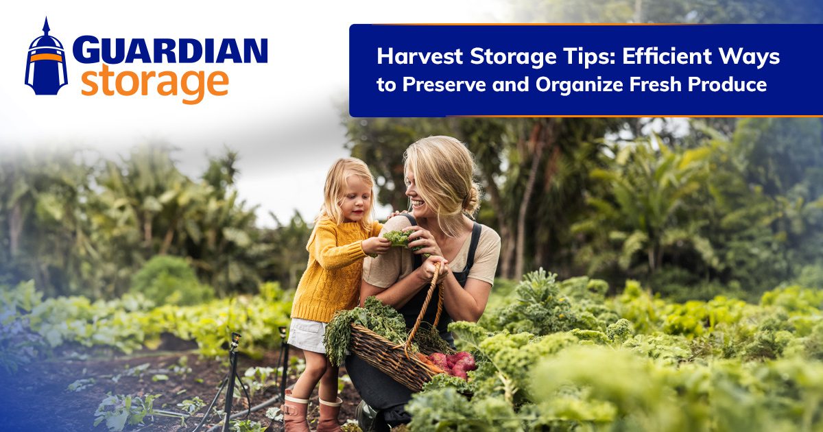 Harvest Storage Tips: Efficient Ways to Preserve and Organize Fresh Produce