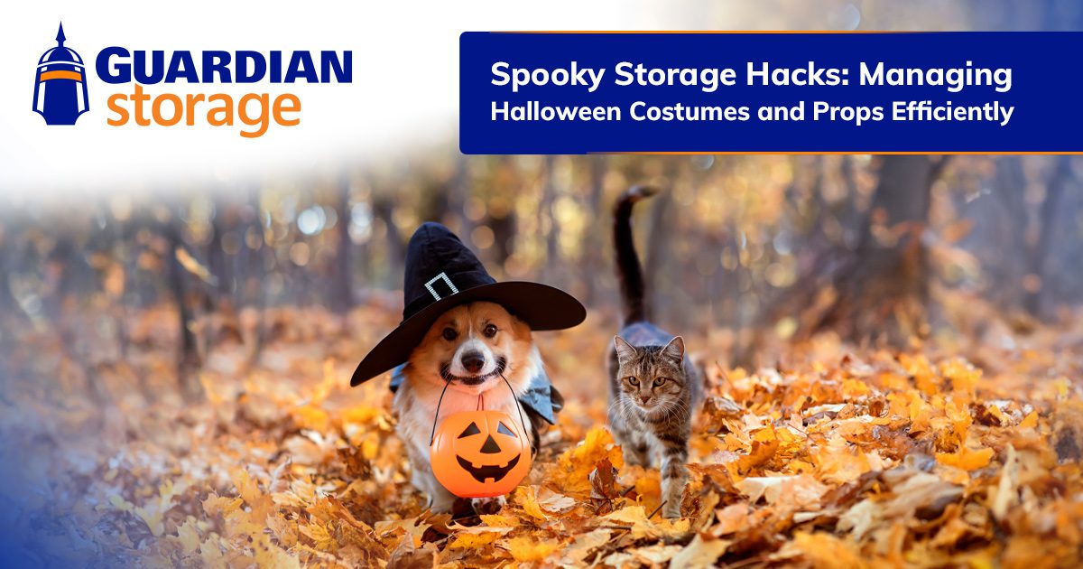Spooky Storage Hacks: Managing Halloween Costumes & Props Efficiently Spooky Storage Hacks: Managing Halloween Costumes & Props Efficiently