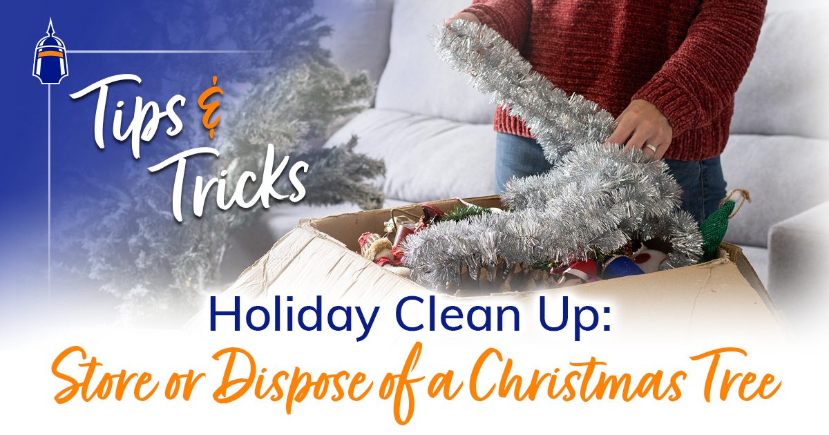 How to Store or Dispose of a Christmas Tree: Essential Tips for Post ...