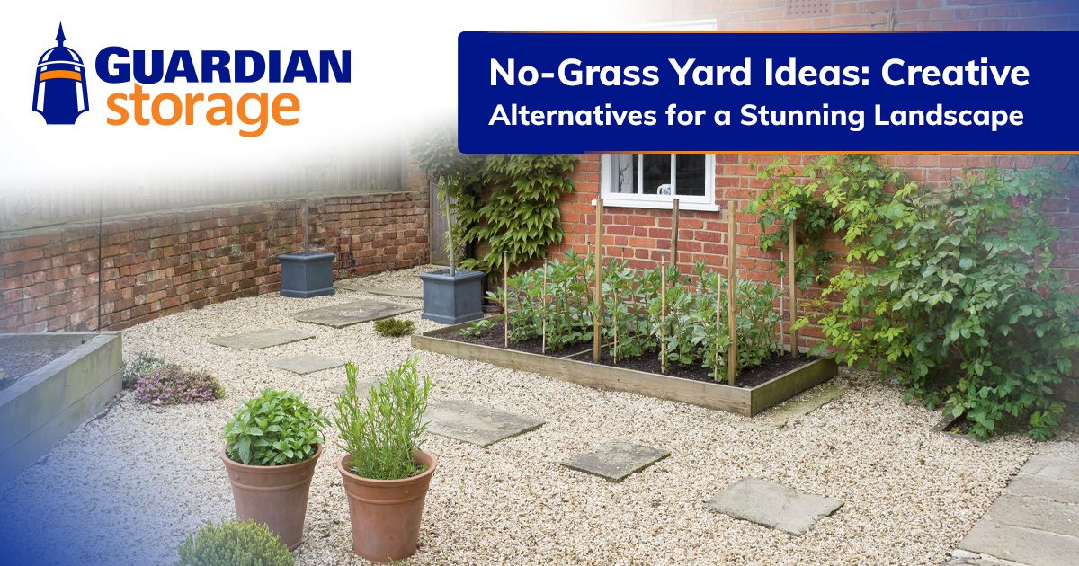No-Grass Yard Ideas: Creative Alternatives for a Stunning Landscape